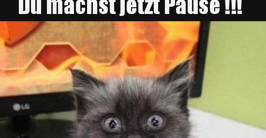 Du machst jetzt Pause !!!.. | Lustige Bilder, Sprüche, Witze, echt lustig