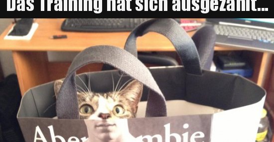 Das Training hat sich ausgezahlt... | Lustige Bilder, Sprüche, Witze ...