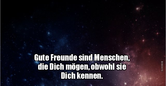 Gute Freunde sind Menschen, die Dich mögen, obwohl sie Dich kennen ...
