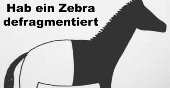 Hab ein Zebra defragmentiert.. | Lustige Bilder, Sprüche, Witze, echt ...