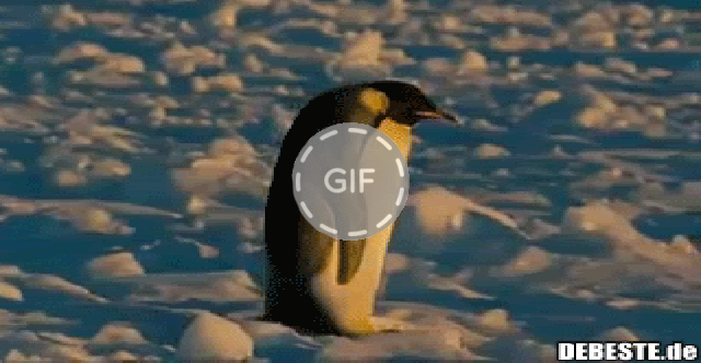 Vorsicht Rutschig.. | Lustige Bilder, Sprüche, Witze, echt lustig