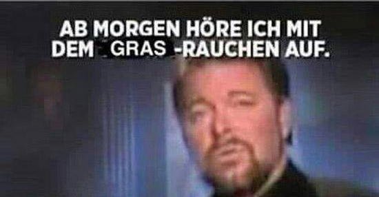 Ab morgen höre ich mit dem Gras rauchen auf.. | Lustige Bilder, Sprüche ...