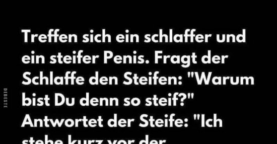 Treffen sich ein schlaffer und ein steifer P*enis. Fragt der Schlaffe den Steifen: Warum bist Du ...
