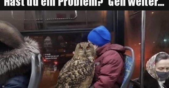 Hast du ein Problem? Geh weiter... - DEBESTE.de