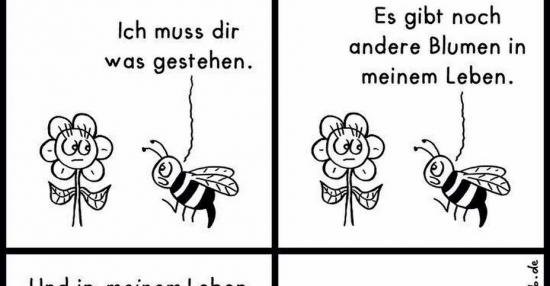 Ich muss dir was gestehen.. | Lustige Bilder, Sprüche, Witze, echt lustig