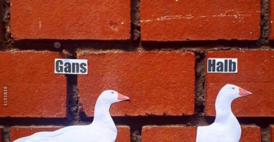Gans. / Halb... | Lustige Bilder, Sprüche, Witze, echt lustig