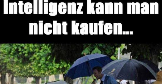 Intelligenz kann man nicht kaufen.. | Lustige Bilder, Sprüche, Witze ...