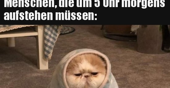 Menschen, die um 5 Uhr morgens aufstehen müssen.. - DEBESTE.de