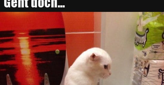 Geht doch... | Lustige Bilder, Sprüche, Witze, echt lustig