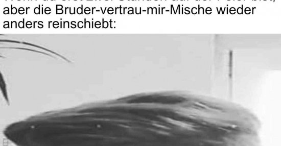 Wenn du erst zwei Stunden auf der Feier bist, aber die Bruder-vertrau-mir-Mische - DEBESTE.de