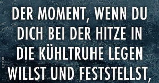 Der Moment, wenn du dich bei der Hitze in die Kühltruhe.. | Lustige ...