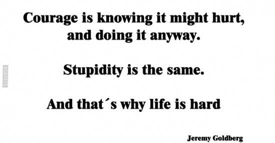 Courage is knowing it might hurt, and doing it anyway. Stupidity is the ...