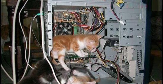 Unsere Techniker arbeiten bereits an der Lösung des Problems ...