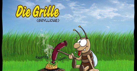 Die Grille (GRYLLIDAE) - DEBESTE.de