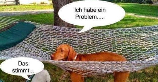 Ich habe ein Problem... | Lustige Bilder, Sprüche, Witze, echt lustig