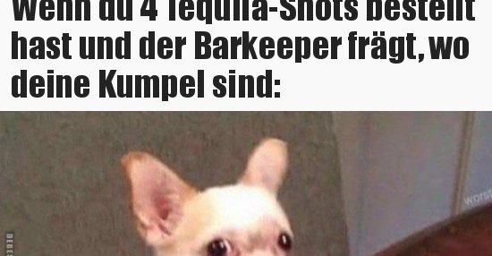 Wenn du 4 Tequila-Shots bestellt hast und der Barkeeper.. | Lustige ...