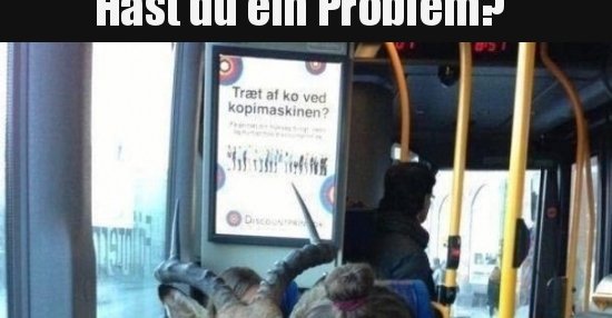 Hast du ein Problem?.. | Lustige Bilder, Sprüche, Witze, echt lustig
