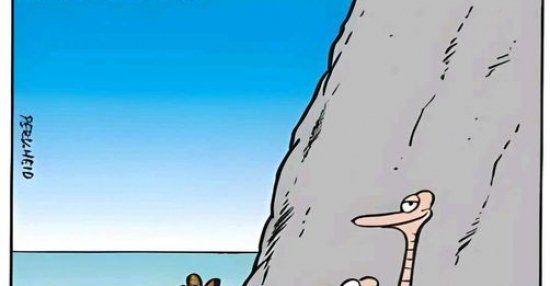 Wenn sich Straußenweibchen langweilen... - DEBESTE.de