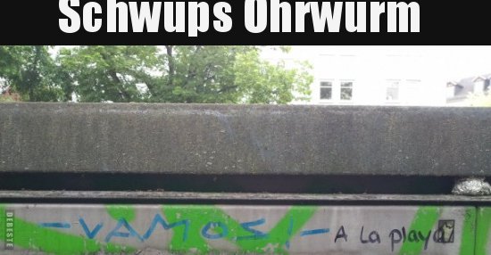 Schwups Ohrwurm.. | Lustige Bilder, Sprüche, Witze, echt lustig