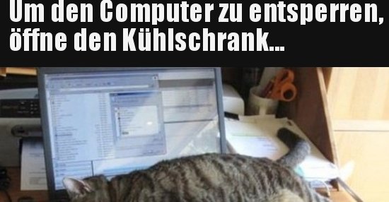 Um den Computer zu entsperren, öffne den Kühlschrank... | Lustige ...