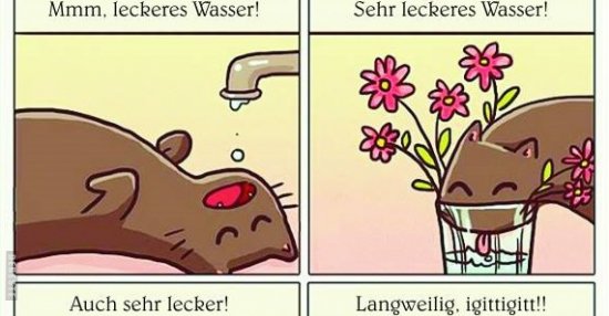 Mmm, leckeres Wasser! | Lustige Bilder, Sprüche, Witze, echt lustig