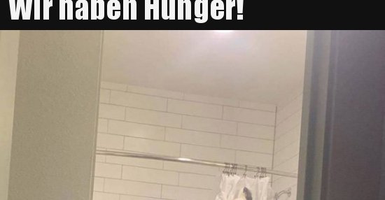 Wir haben Hunger!.. | Lustige Bilder, Sprüche, Witze, echt lustig