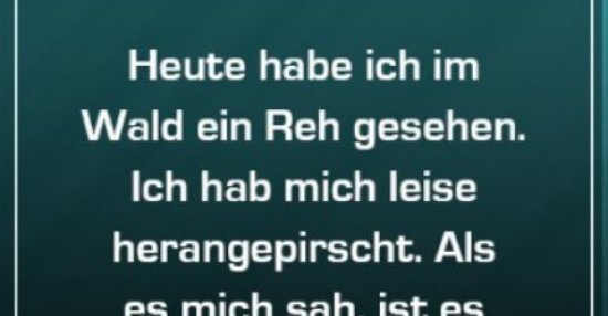 Heute habe ich im Wald ein Reh gesehen... | Lustige Bilder, Sprüche ...