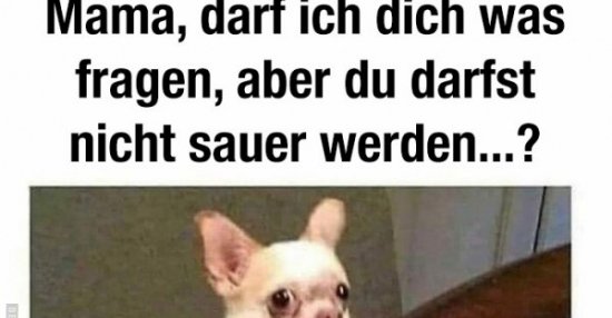 Mama, darf ich dich was fragen, aber du darfst nicht sauer werden ...