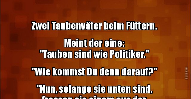 Zwei Taubenväter beim Füttern... | Lustige Bilder, Sprüche, Witze, echt ...