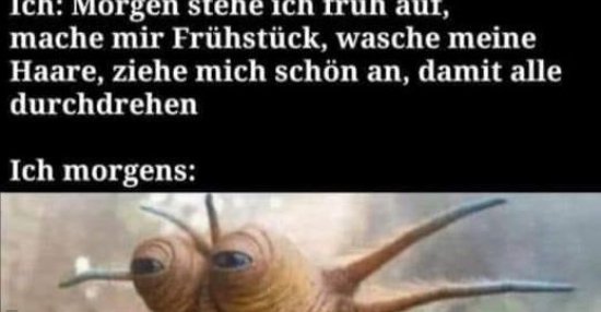 Ich: Morgen stehe ich früh auf, mache mir Frühstück, wasche meine Haare ...