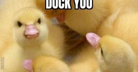 Duck you you ducking duck - DEBESTE.de