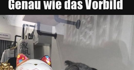 Genau wie das Vorbild.. | Lustige Bilder, Sprüche, Witze, echt lustig