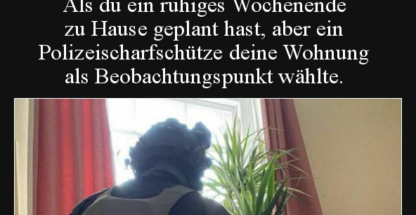 Als du ein ruhiges Wochenende zu Hause geplant hast, aber.. | Lustige ...