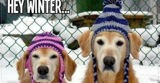 Hey Winter.. | Lustige Bilder, Sprüche, Witze, echt lustig
