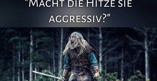 Macht die Hitze sie aggressiv?.. | Lustige Bilder, Sprüche, Witze, echt ...