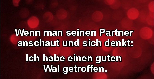 Wenn man seinen Partner anschaut und sich denkt.. | Lustige Bilder ...