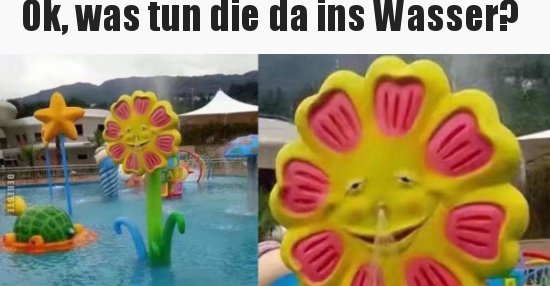 Ok, was tun die da ins Wasser?.. | Lustige Bilder, Sprüche, Witze, echt ...
