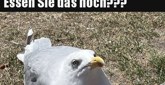 Essen Sie das noch???.. - DEBESTE.de