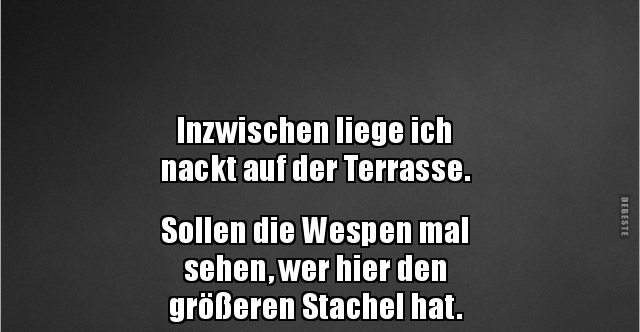Inzwischen liege ich nackt auf der Terrasse. Sollen.. | Lustige Bilder ...
