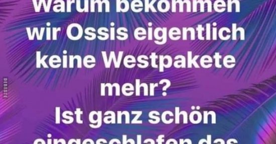 Warum bekommen wir Ossis eigentlich keine Westpakete mehr? Ist ganz ...
