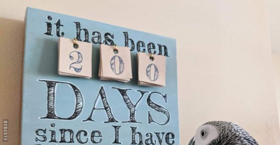 It has been 200 days.. - DEBESTE.de