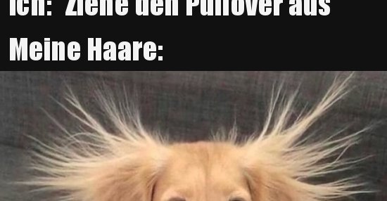 Ich: *Ziehe den Pullover aus Meine Haare: - DEBESTE.de