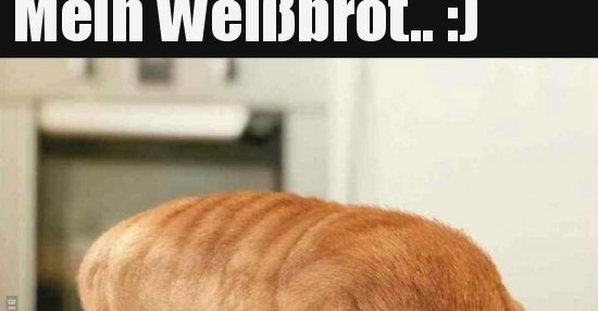 Mein Weißbrot.. :) | Lustige Bilder, Sprüche, Witze, echt lustig