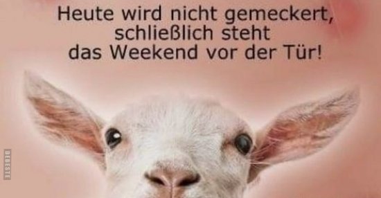 Heute wird nicht gemeckert, schließlich steht das Weekend vor der Tür! Einen glücklichen Freitag ...