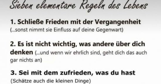 Sieben elementare Regeln des Lebens.. | Lustige Bilder, Sprüche, Witze, echt lustig