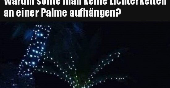 Warum sollte man keine Lichterketten an einer Palme aufhängen? - DEBESTE.de