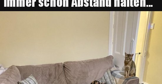 Immer schön Abstand halten... | Lustige Bilder, Sprüche, Witze, echt lustig
