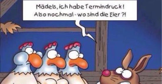 Mädels, ich habe Termindruck! | Lustige Bilder, Sprüche, Witze, echt lustig