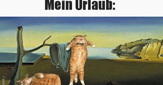 Mein Urlaub.. | Lustige Bilder, Sprüche, Witze, echt lustig