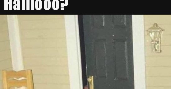 Halllooo?.. | Lustige Bilder, Sprüche, Witze, echt lustig